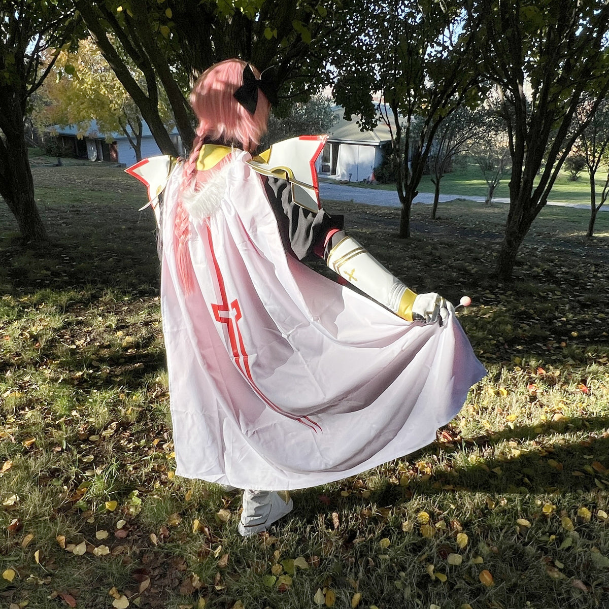 Astolfo Cosplay Set (Rider Set with Cape) – Femzai®